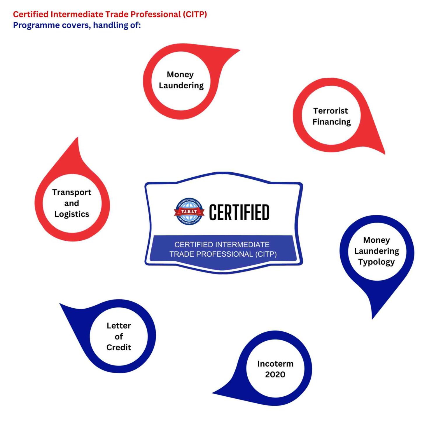 Certified Intermediate Trade Professional - The Institute of Export and ...